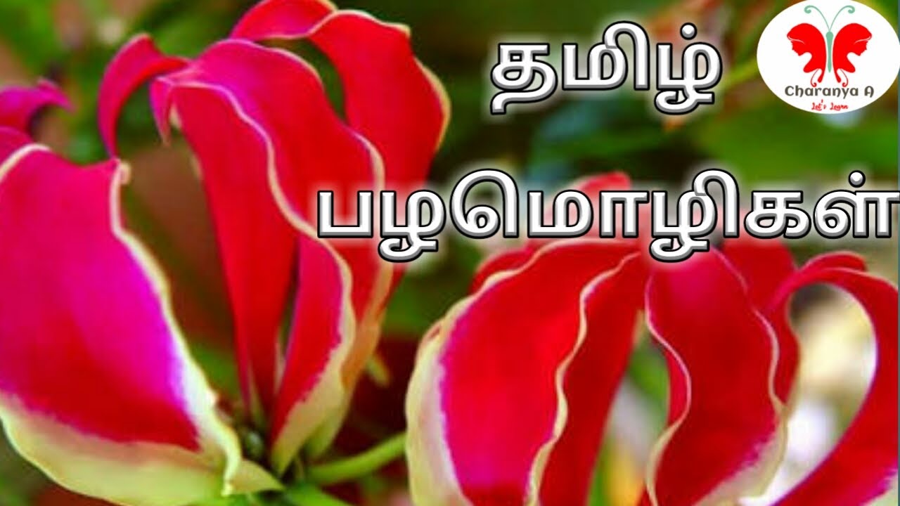 Tamil Proverbs And Its Real Meanings Worms And Insects Charanya tamil-proverbs-and-its-real-meanings-worms-and-insects-charanya