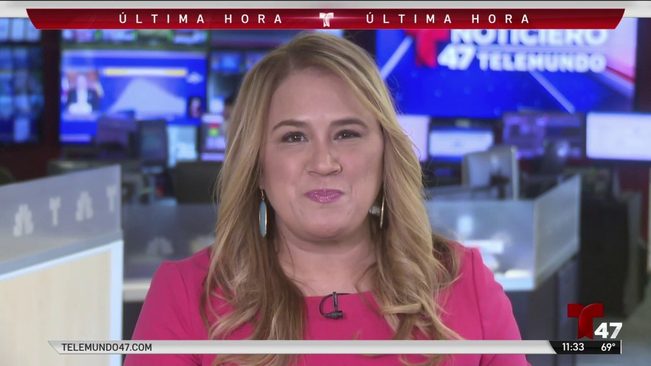 Merijoel Duran - Rueda De Prensa Con Andrew Cuomo Governor of New York ...
