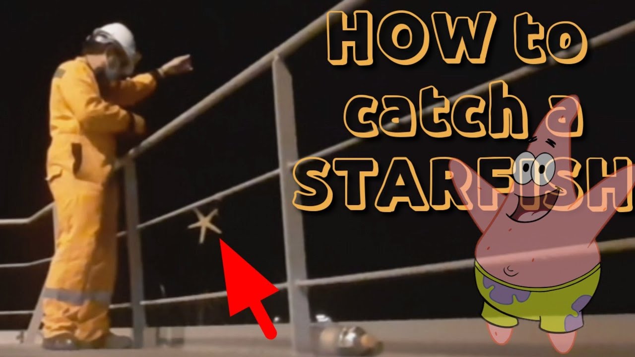 STAR Fishing! 🤣 (Let's Catch Star Fish and Let it Go!😍) - YouTube