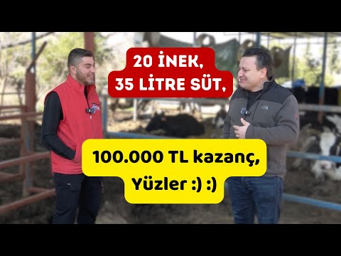 20 İnekle 100 Bin TL Kazanç! - Ekstrem Hayvancılık 1. Bölüm