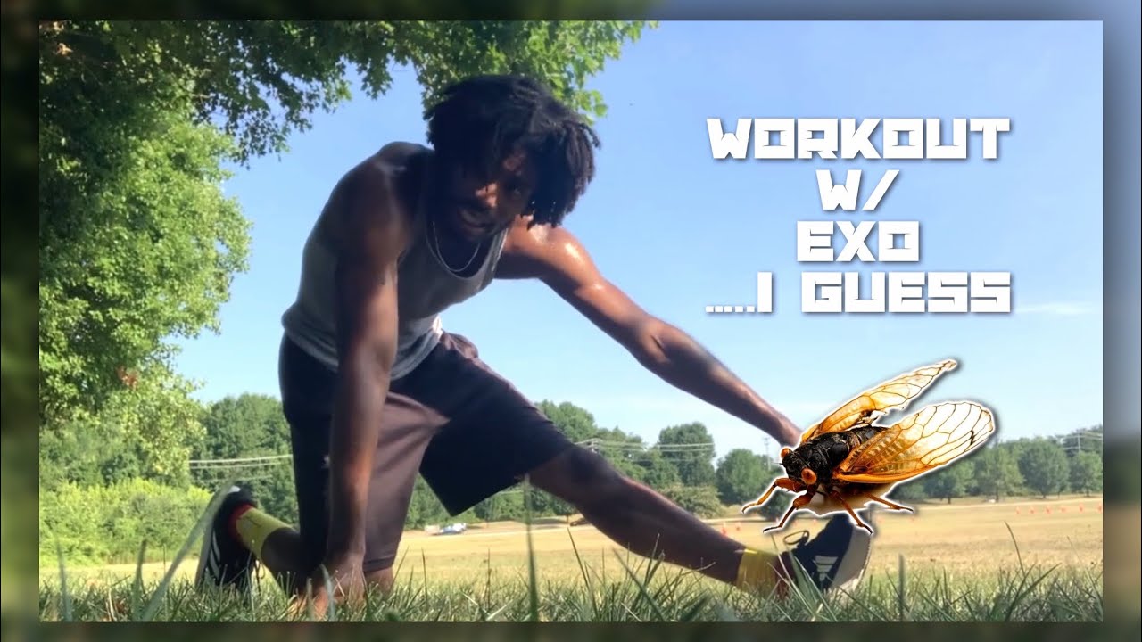 FIRST IRL VIDEO feat. Cicadas - YouTube