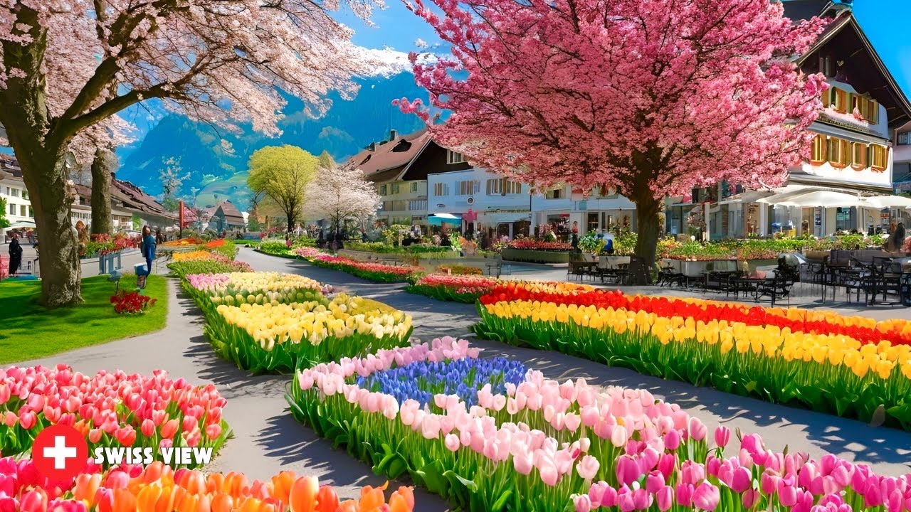 SPRING HAS ARRIVED IN SWISS TOWN INTERLAKEN , SWITZERLAND🇨🇭TOP TRAVEL ...
