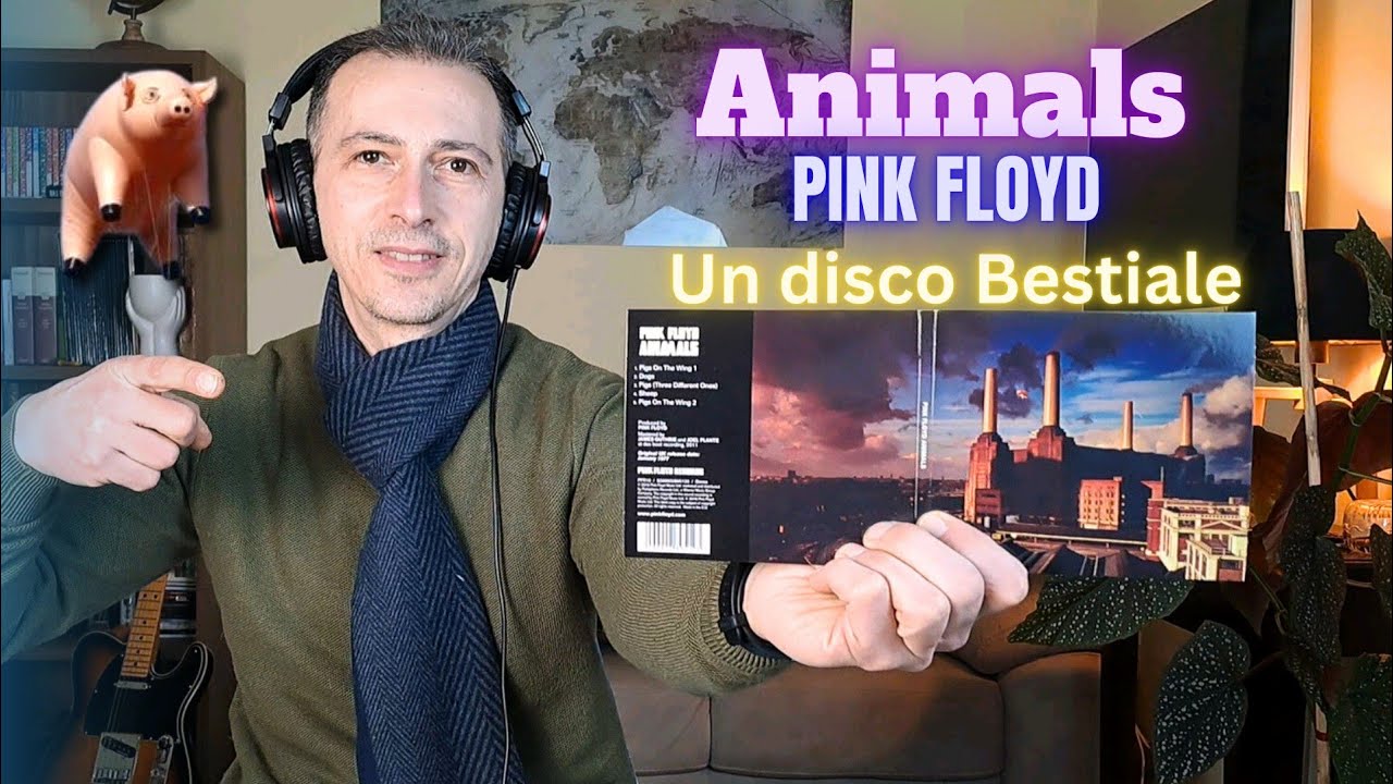 Animals - Pink Floyd : L' era di Roger Waters - YouTube
