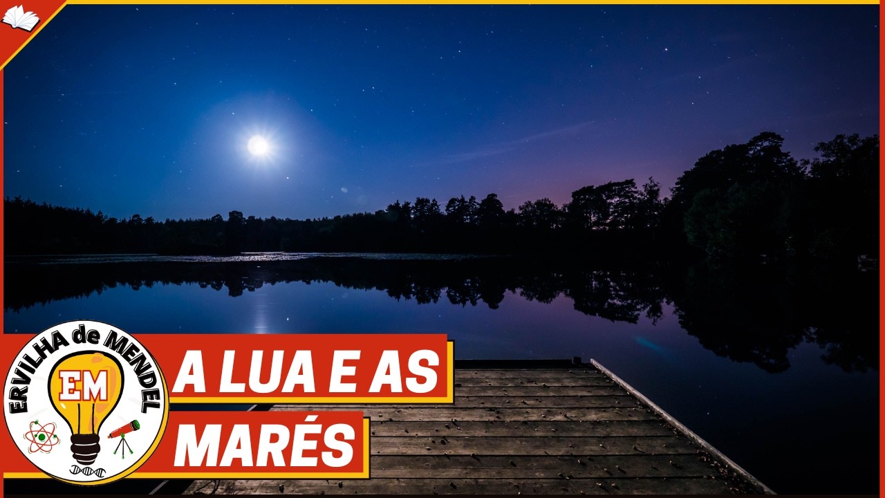 A Lua e Seus Efeitos nas Marés: O Que Você Precisa Saber Sobre Esse ...