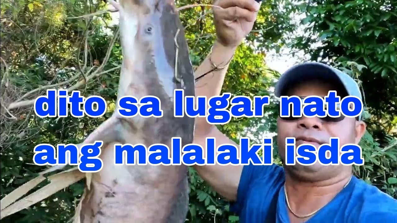 malalaki isda naka tago sa bundok! - YouTube