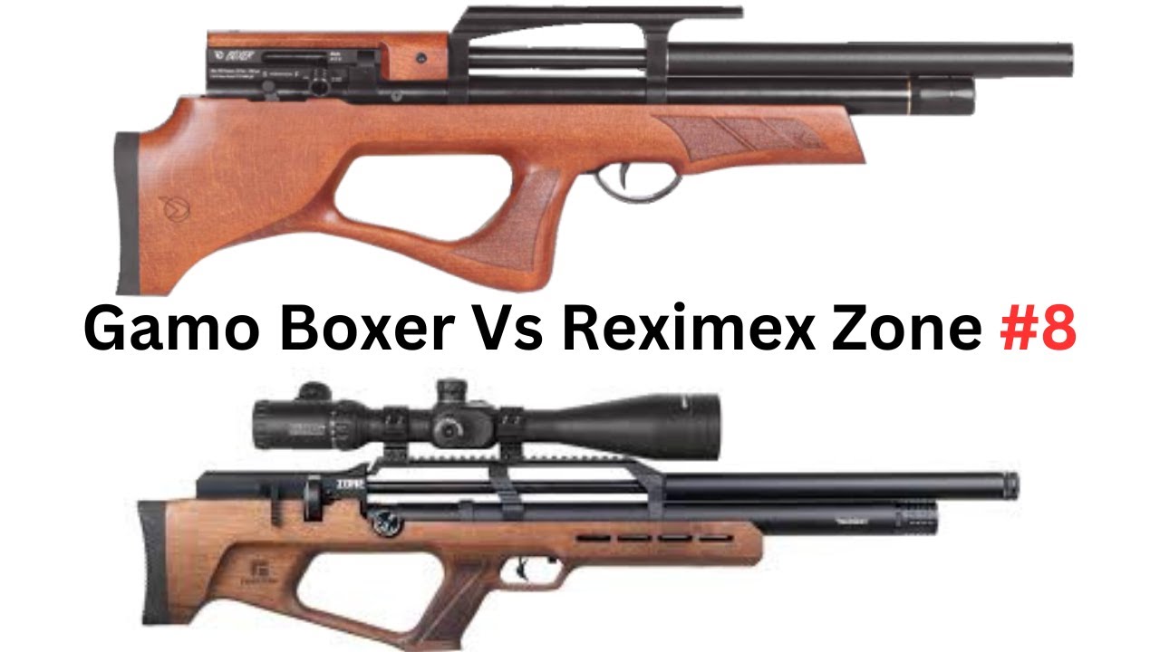 Reximex Zone Vs Gamo Boxer - YouTube