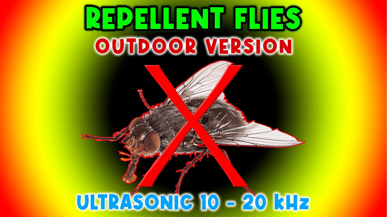 ANTI FLIES REPELLENT SOUND ⛔🦟 KEEP FLIES AWAY - ULTRASONIC SOUND - YouTube