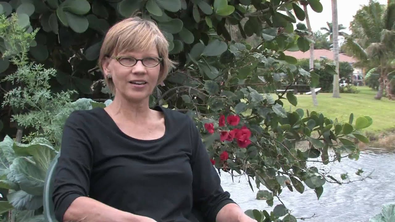 Hummingbirds : How Do Hummingbirds Help Pollination? - YouTube