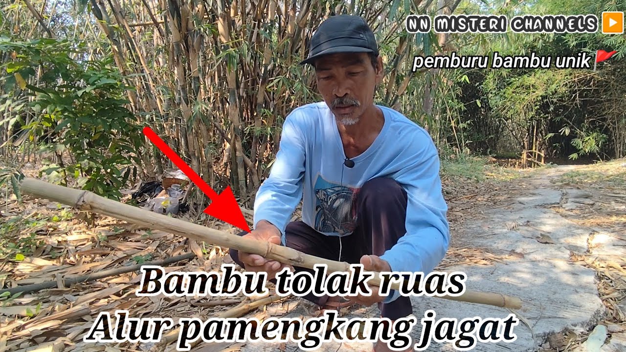 BAMBU UNIK TOLAK RUAS ALUR PAMENGKANG JAGAT - Pemburu Bambu Unik ...