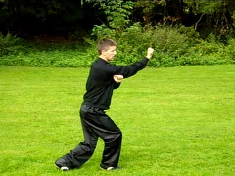 12 - Tang Lang Tou Tao - Seven Star Mantis Kung Fu - M-Kung-Fu.de - YouTube