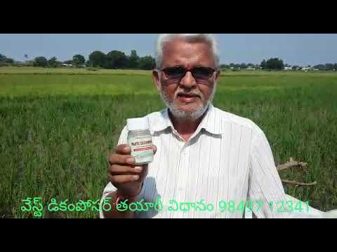 Prepare of NCOF Waste Decomposer వేస్ట్ డికంపోసర్ తయారీ విధానం No Urea ...