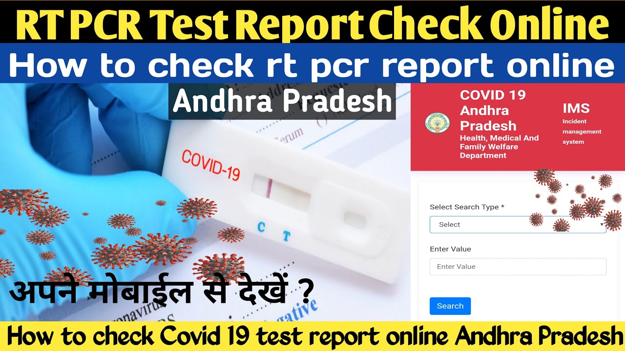 How to check Covid 19 test report online AP | How to check rt pcr ...