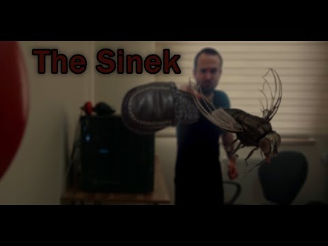 THE SİNEK Animasyon Kısa Film ( The Fly Animation Short Film )