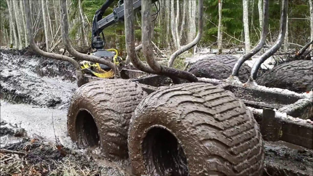 Forestry work compilation 6..(HD) - YouTube