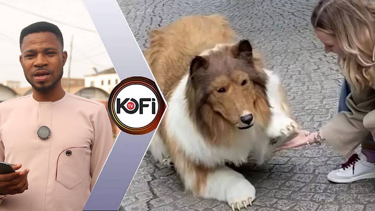 Man pay 2M to be transformed into Dog :Details - YouTube