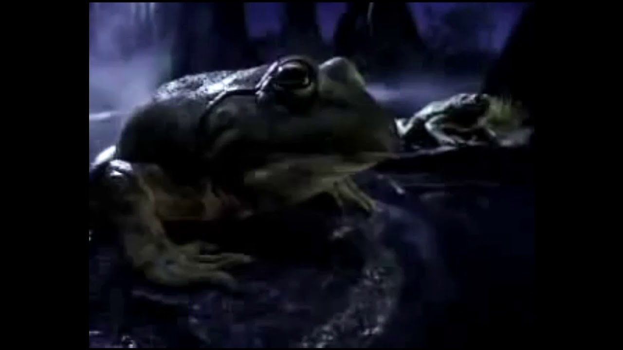 Frogs - Super Bowl Commercial - YouTube