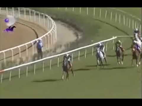 ŞUBAT  RAKİPLERİ  TANSEL  VE  GİNZA  İLE  ALAY  EDERKEN   MİRHAT I GEÇEBİLECEK  TEK  AT BENİM  DEDİ