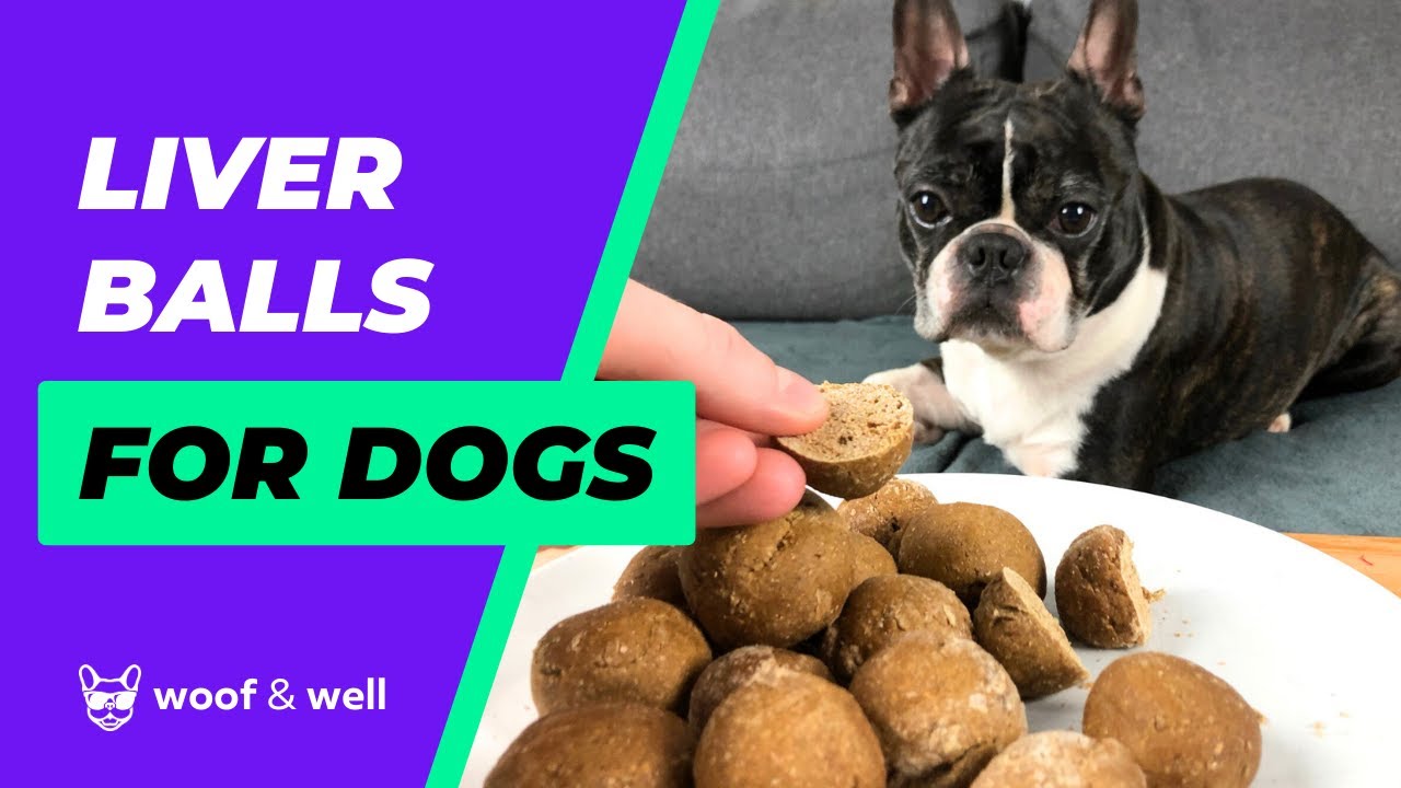 LIVER BALLS FOR DOGS 🐕 #dogtreats - YouTube