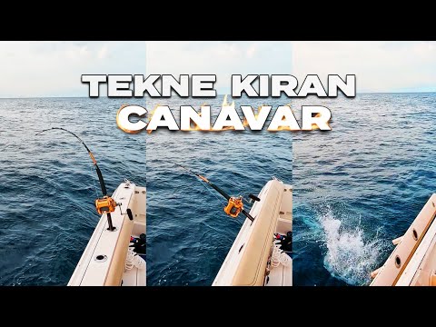 Tekne Kıran Dev Canavar - Viral Olan Video 200 Milyon İzlenme
