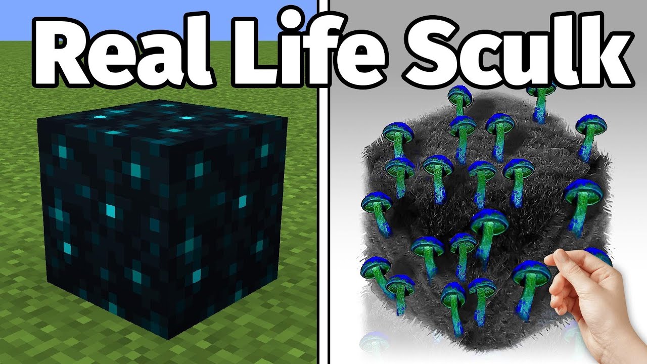 Collecting EVERY Block in Minecraft, in REAL LIFE! - YouTube