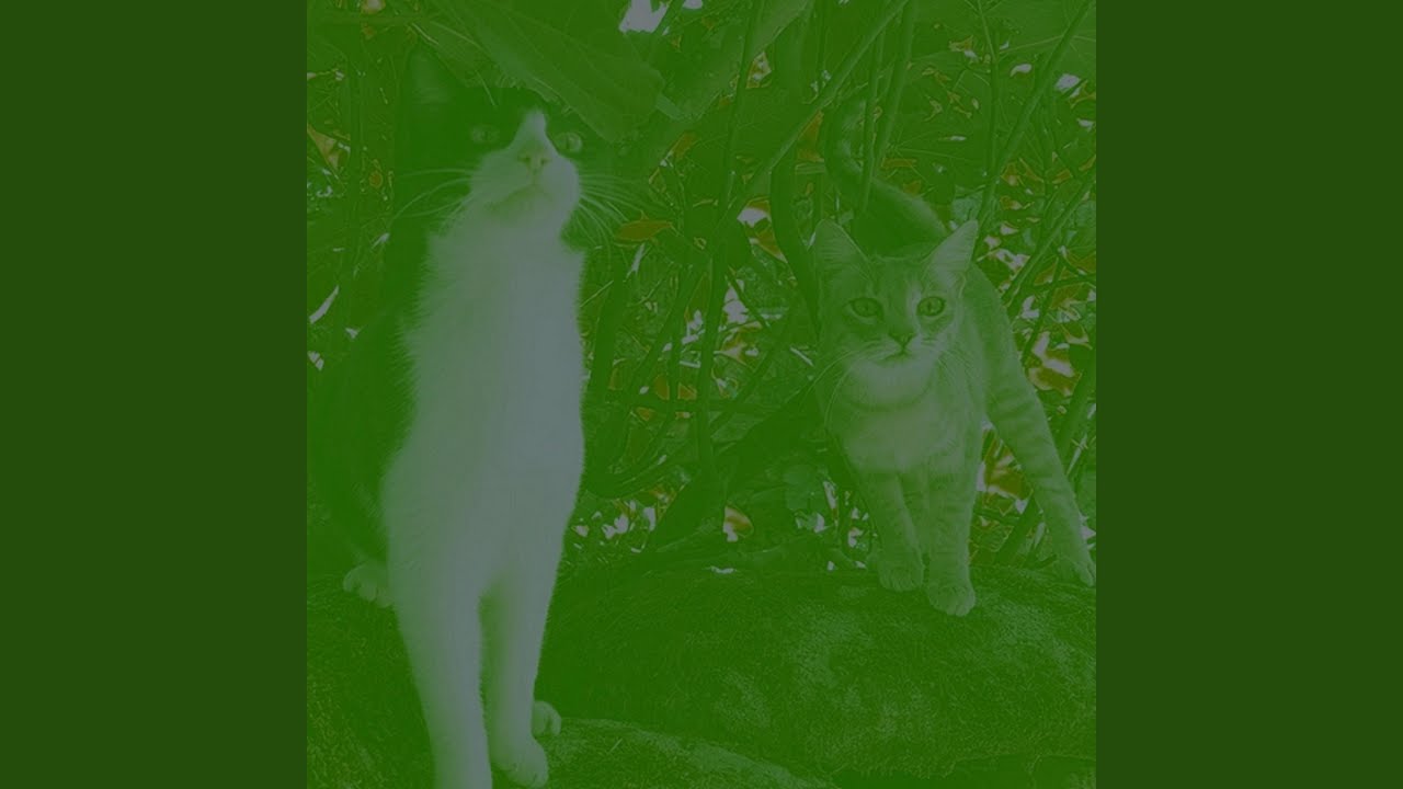 Shiva Loka - YouTube