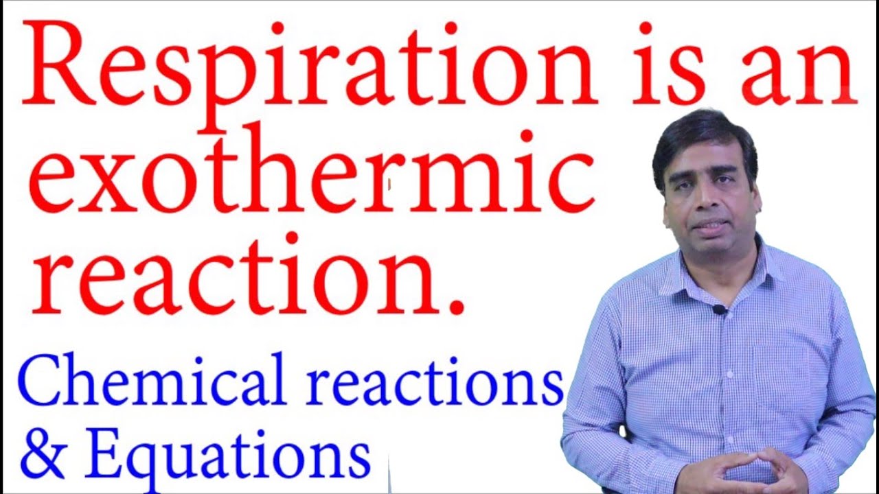 Why respiration is an exothermic reaction? #ncertclass10science # ...