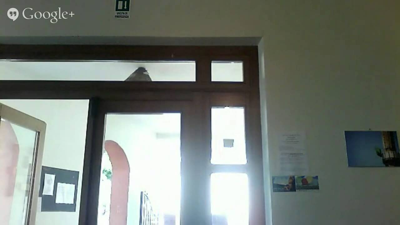 Mauri Test - YouTube