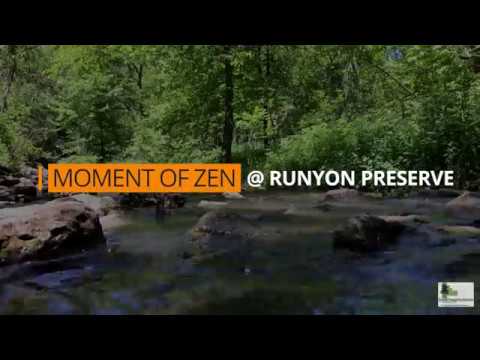 Moment of Zen at Runyon Preserve - YouTube