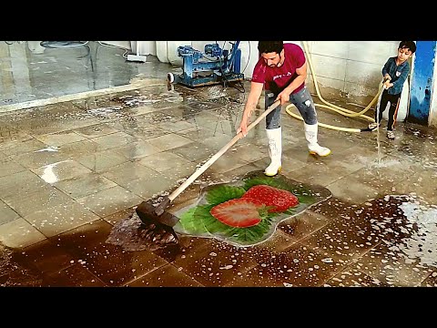 kirli çilek nasıl yıkanır? | en kirli halıyı yıkamak