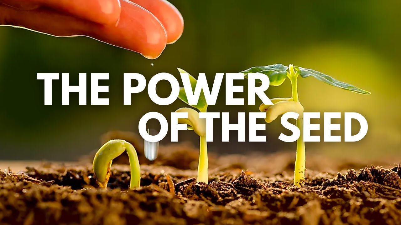 The Power of the Seed | Hope Worship Center - YouTube
