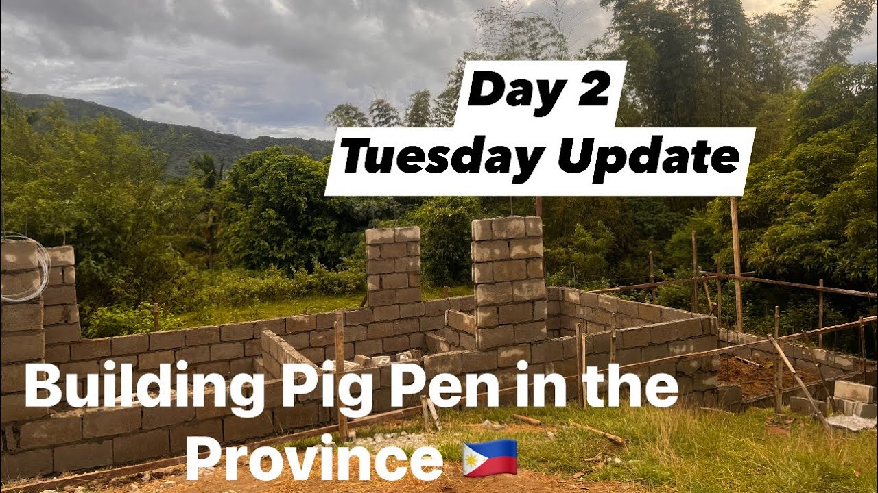 Building Pig Pen in the Philippines 🇵🇭 | Tuesday Update | Harvesting ...