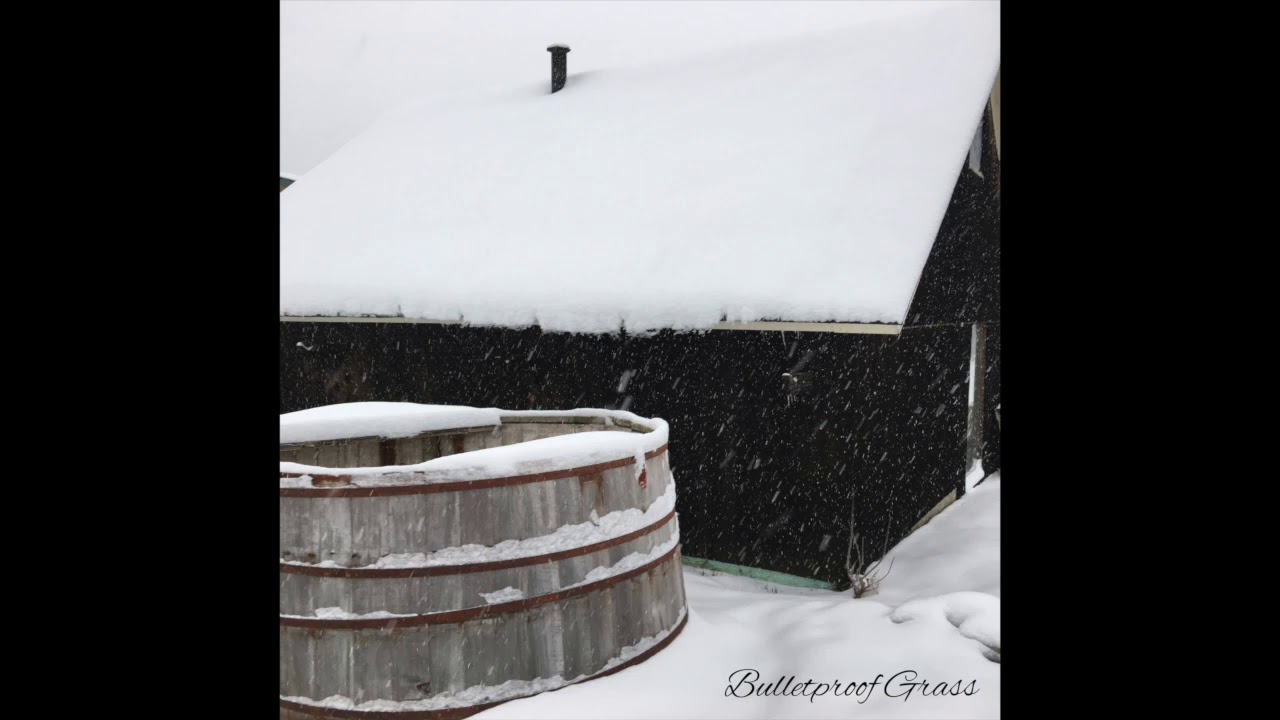 Bulletproof Grass - Bulletproof Grass - YouTube