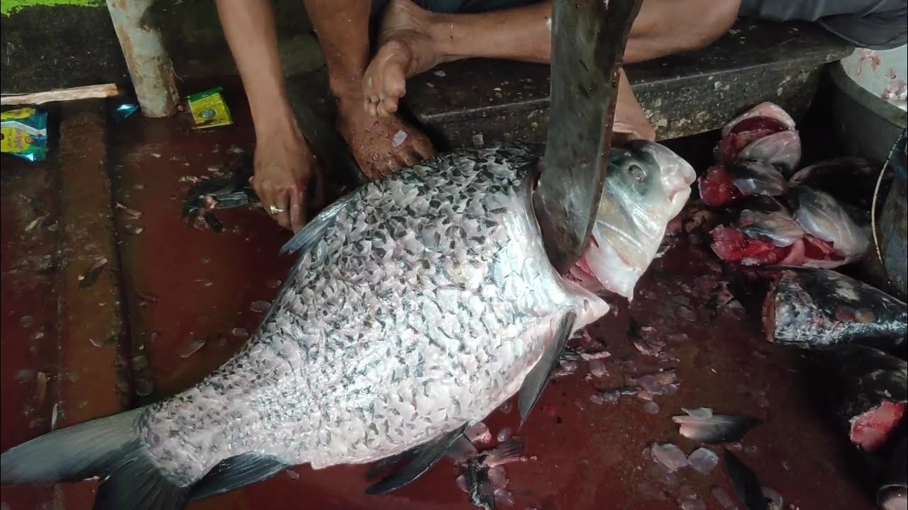 Amazing Big Giant 12 Kg Katla Fish Cutting Skills by Expart Fish Cutter ...