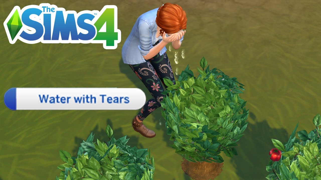 How To Water Your Plants With Tears - The Sims 4 - YouTube