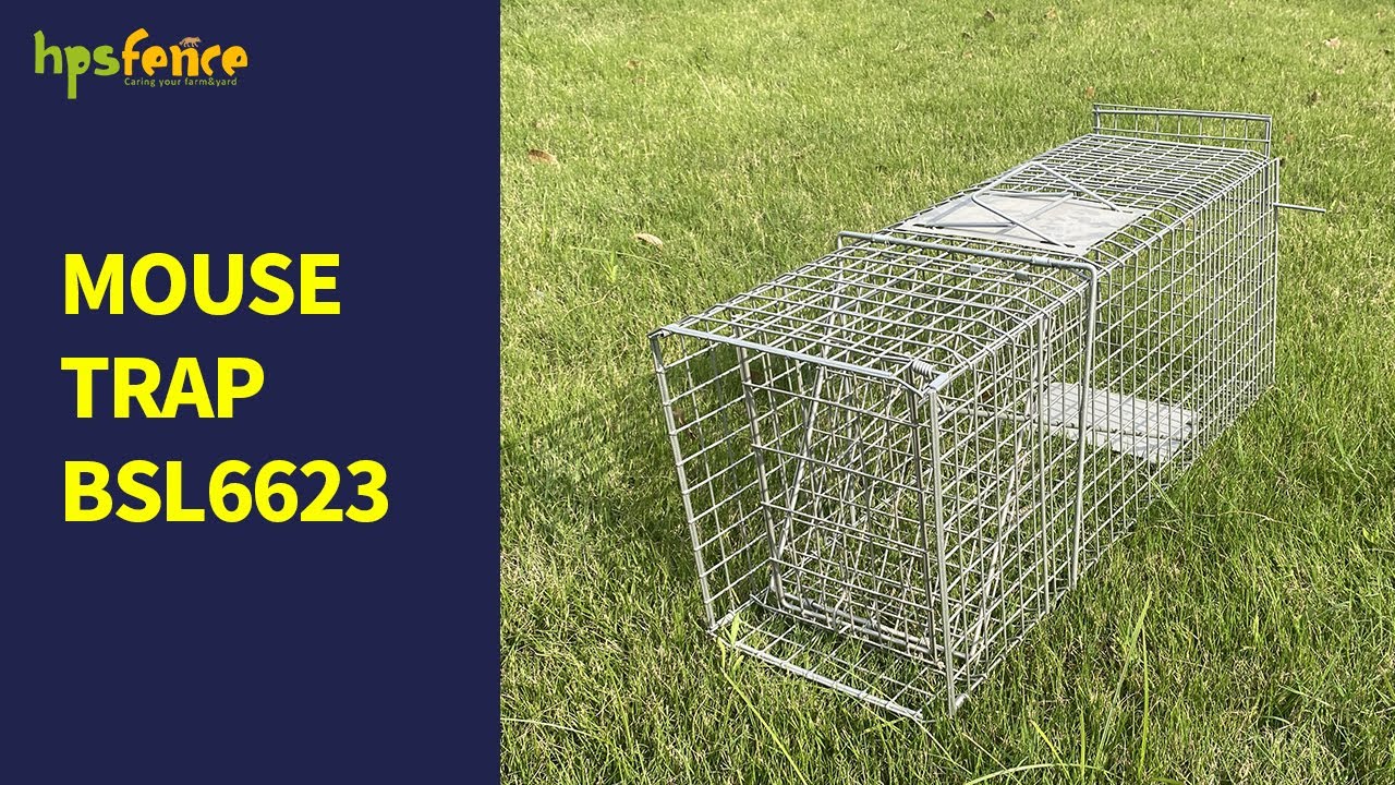 BSL6623 Live Capture Mouse Trap - YouTube
