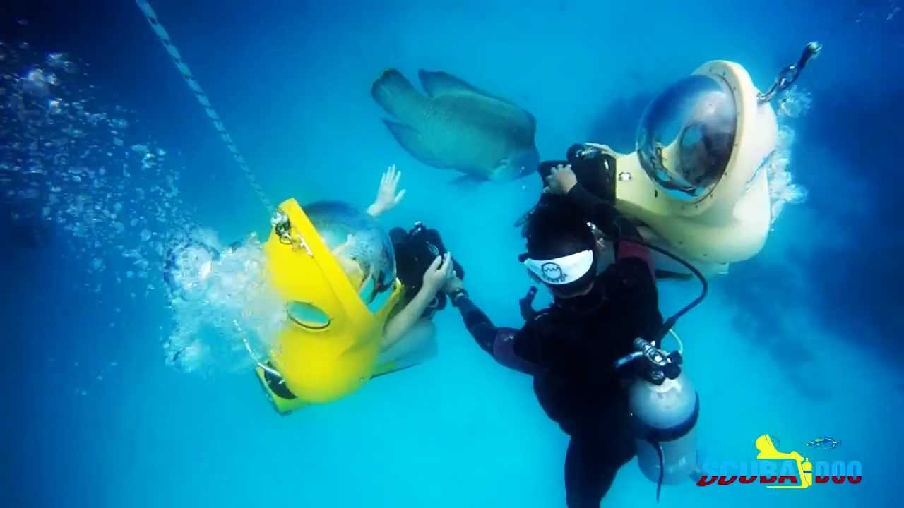 Scuba Doo in Cairns - YouTube