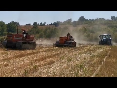 Fiat 805C, Fiat 95-55 & New Holland T6 in Action | Antonio Agrippino’s Aratura Trio 🇮🇹🔥