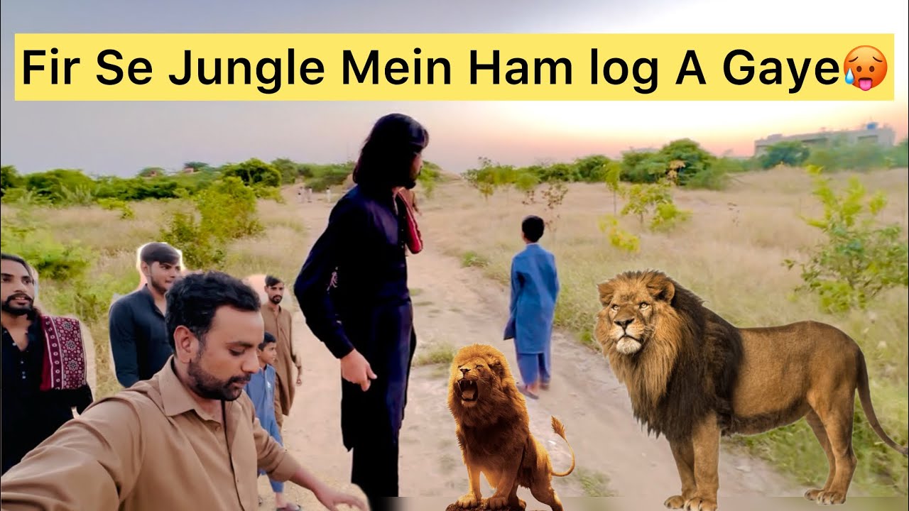 Fir Se Jungle Mein Ham log A Gaye🥵🤫#@onedayhero1 #jungle #forest #2025 ...