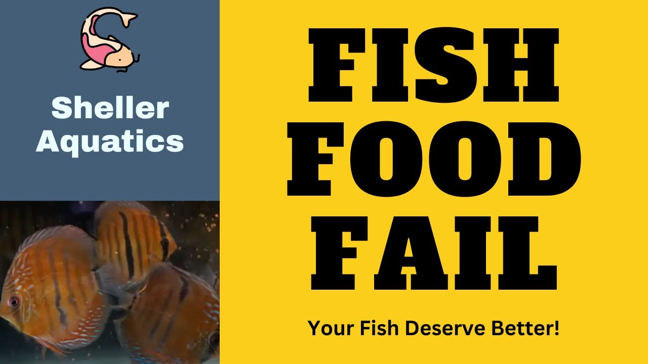 Why Most Fish Foods Are Terrible: What You Need to Know - YouTube