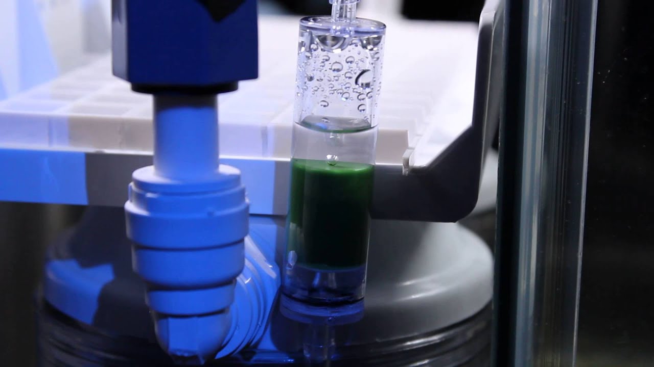 Bubble counter - YouTube