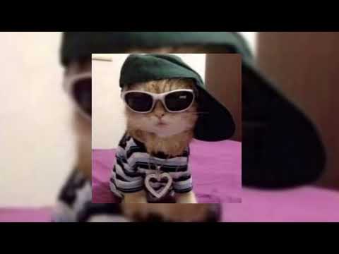 Tyga - taste (sped up)