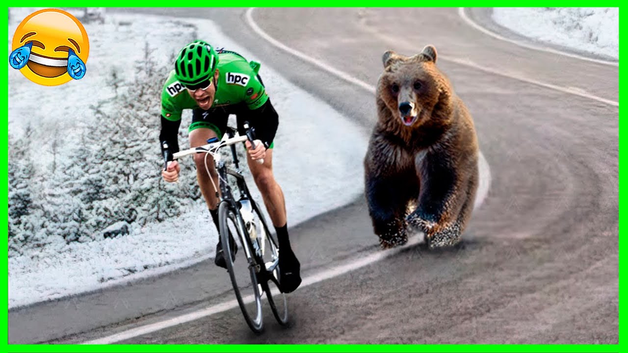 Funny Video Fails Moments 🤣 Pranks - Amazing Stunts - By Laugh Time 🍸 ...