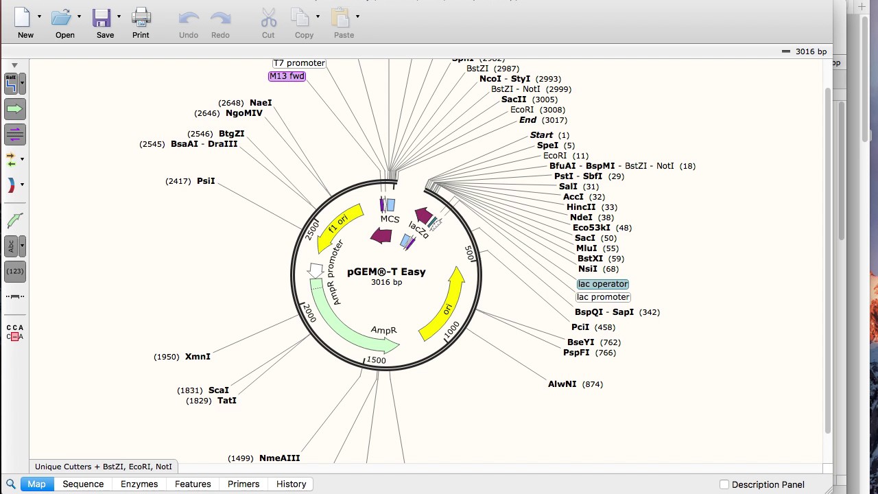 Snapgene: Insert in vector brengen en Restrictie enzym kiezen [part 1 ...