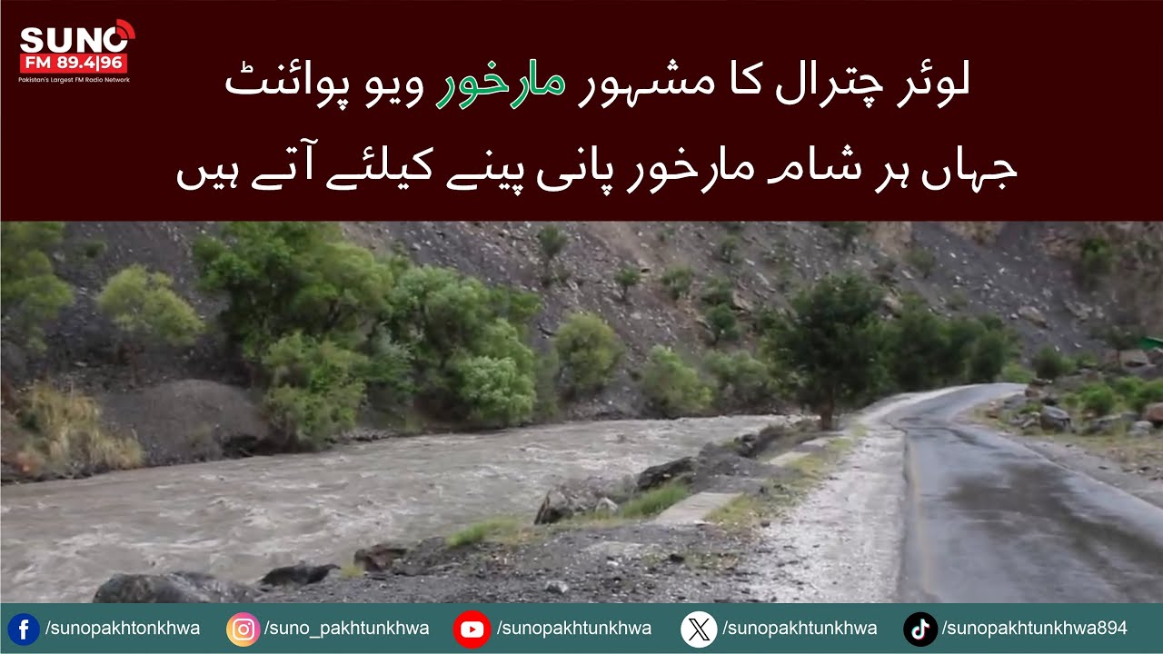 International Markhor Day: Witness the Majestic Markhors at Lower ...