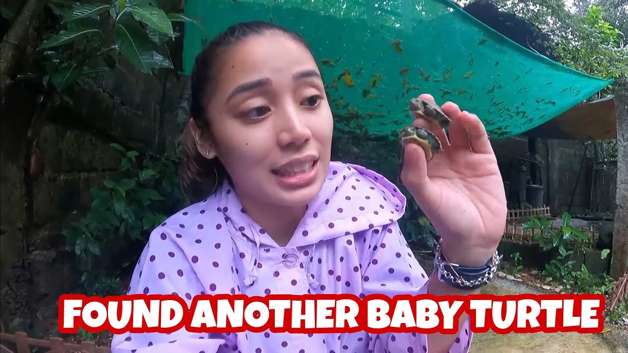 Turtle Hunting - YouTube