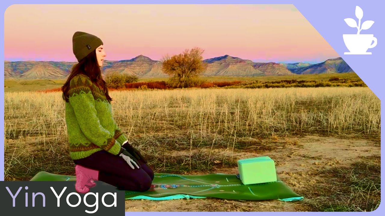 30 min Yin Yoga | Flexibility for the Back, Shoulders, Hips & Feet ...