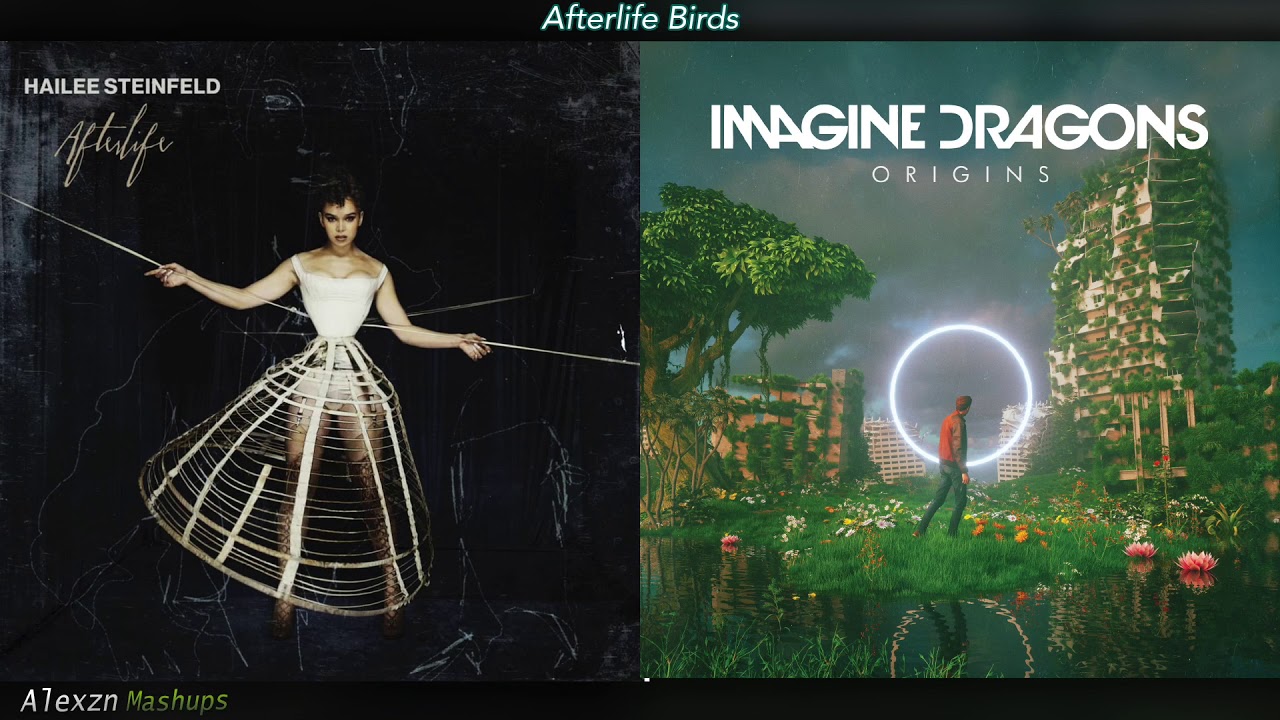 Afterlife Birds - Hailee Steinfeld x Imagine Dragons (Mashup Demo ...