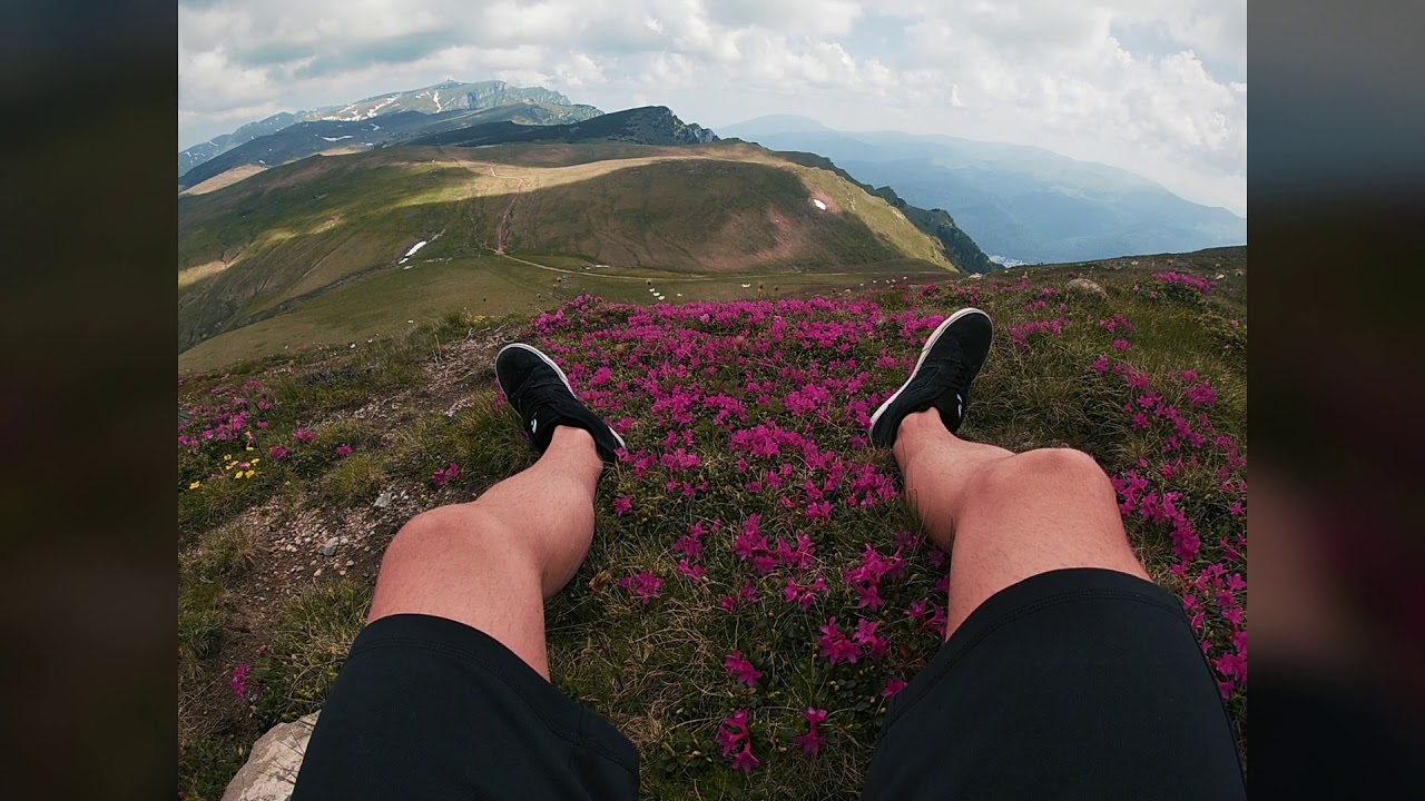 Bucegi natural park - rhododendron period GoPro hero7 - YouTube