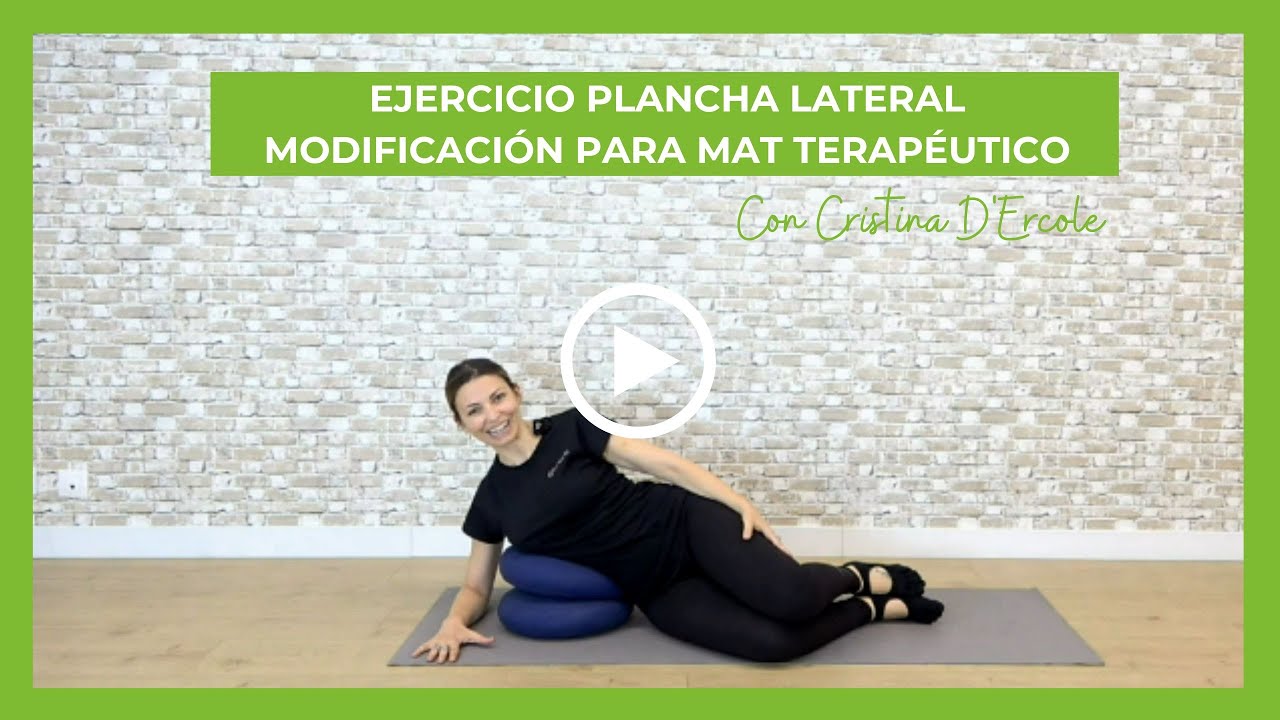 Ejercicio De Plancha Modificado Abdominales Plancha | PDF | Anatomía