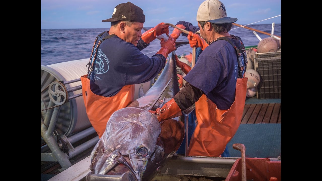 Life On A Hawaii Longline Fishing Boat - YouTube